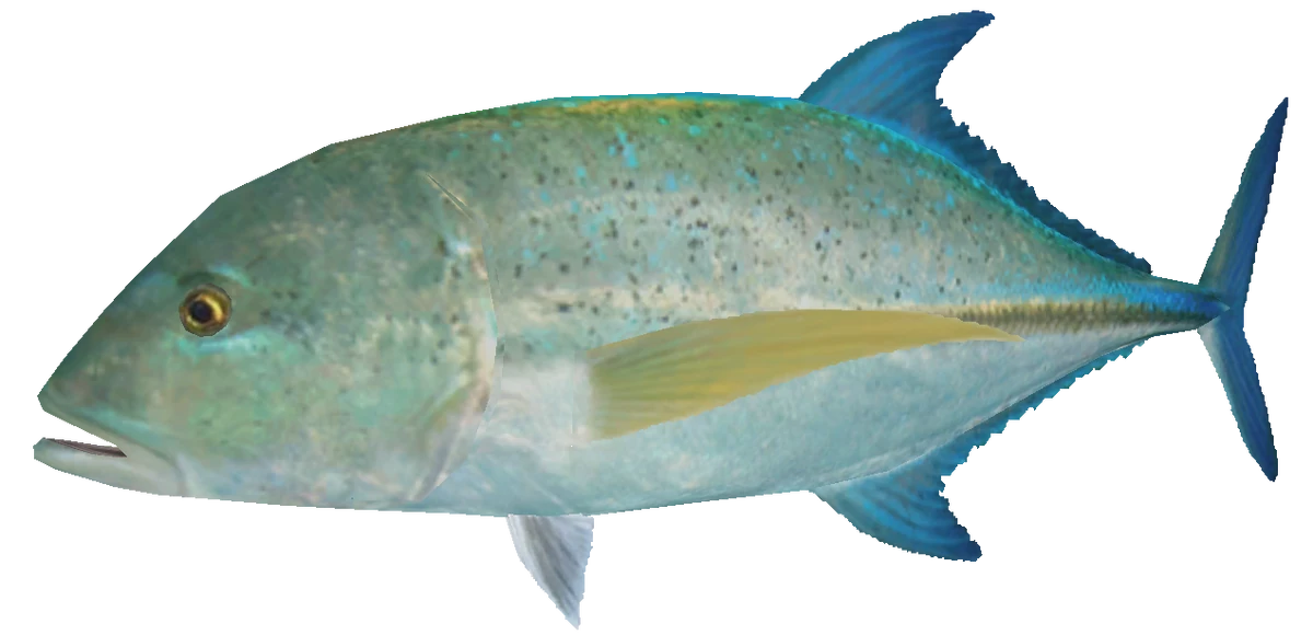 Bluefin Trevally | Wii Fishing Resort Wiki | Fandom