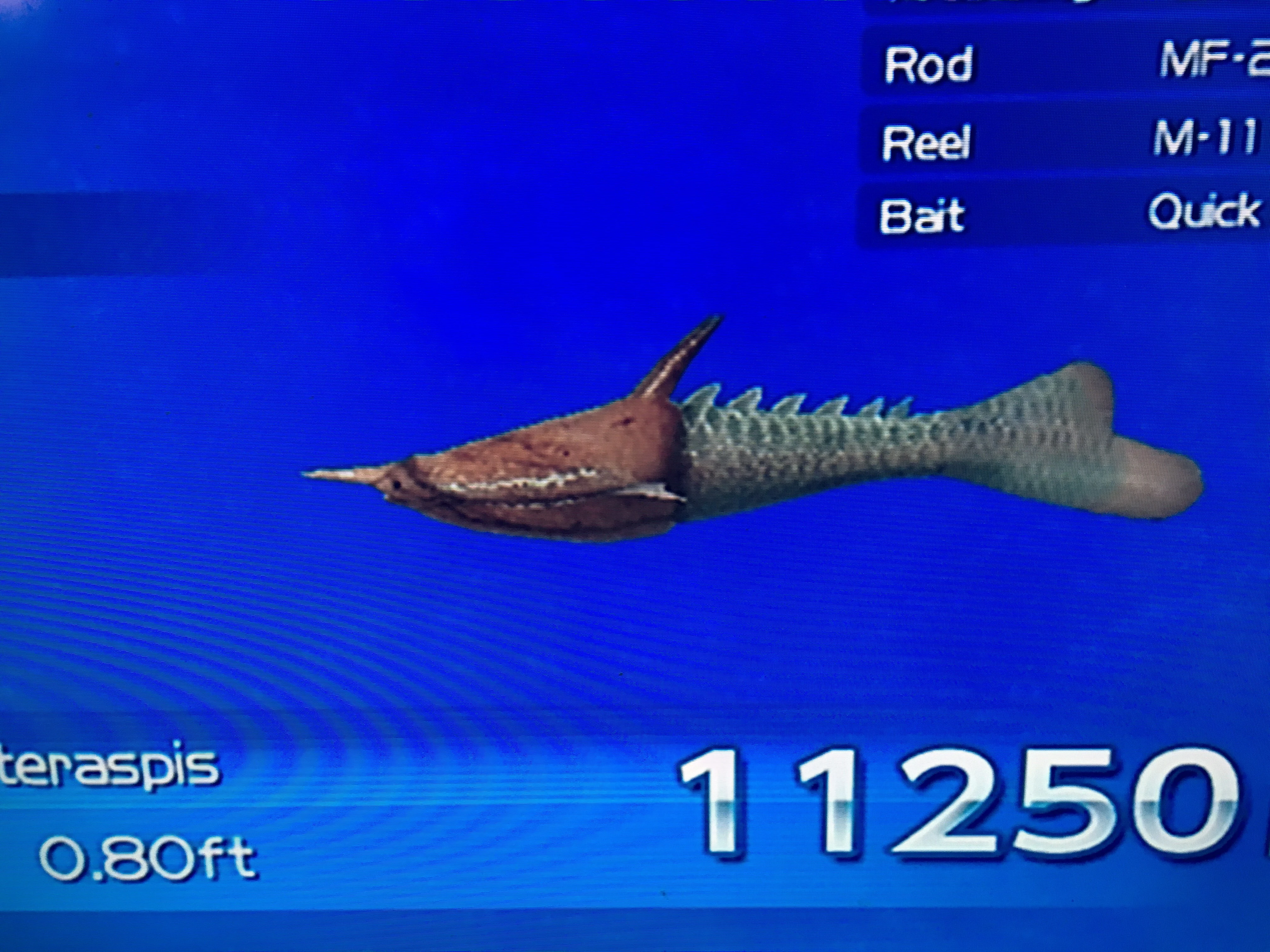 Pteraspis