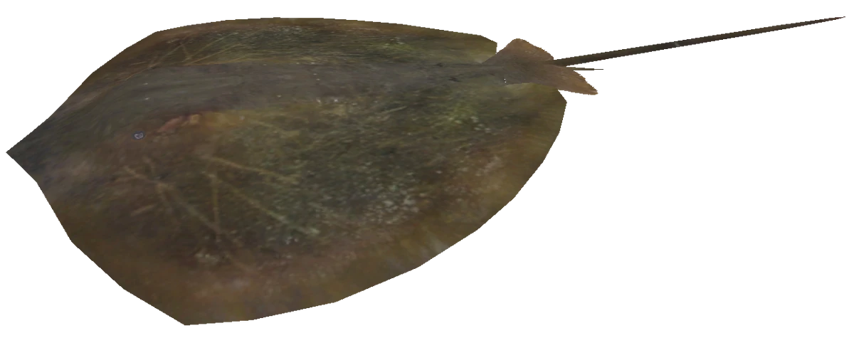 Red Stingray | Wii Fishing Resort Wiki | Fandom