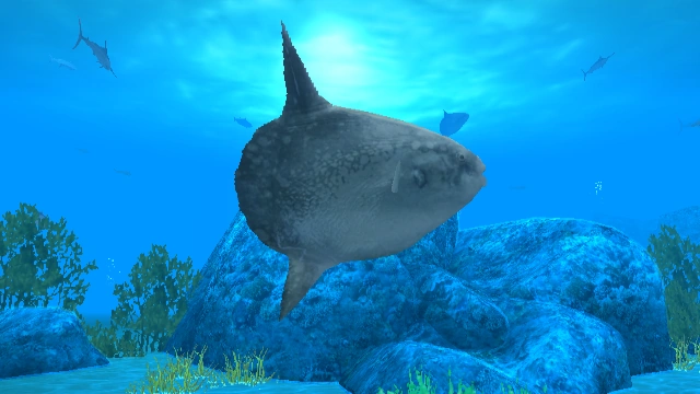 Category:Locations | Wii Fishing Resort Wiki | Fandom