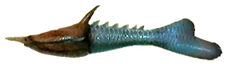 Pteraspis | Wii Fishing Resort Wiki | Fandom