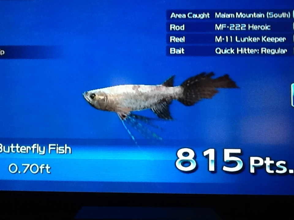 Butterfly Fish | Wii Fishing Resort Wiki | Fandom