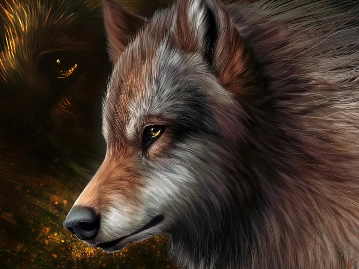 Lupa | Wikia Wiki des Tribus De Loup | Fandom