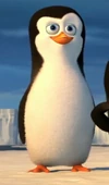 Kowalski (Madagascar) | Doblaje España Wiki | Fandom