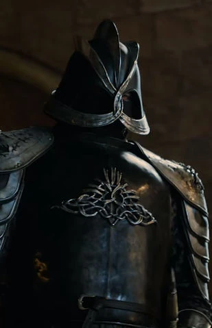 Lord Commander of the Kingsguard | Wiki is coming Wikia | Fandom