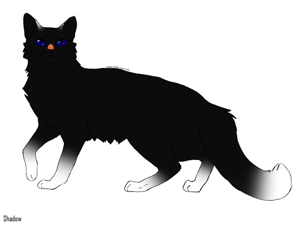 Nocturne | Wiki Les Griffes du Destin Wiki | Fandom Nocturne | Wiki Les Griffes du Destin Wiki | Fandom