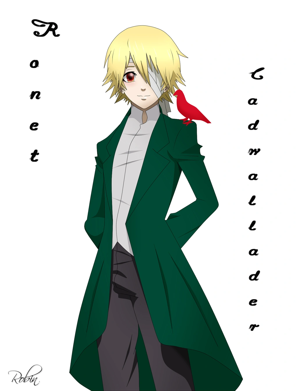 Robin | Wiki Wiki oc world | Fandom