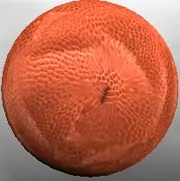 Ball | Wiki of Chaos Wiki | Fandom