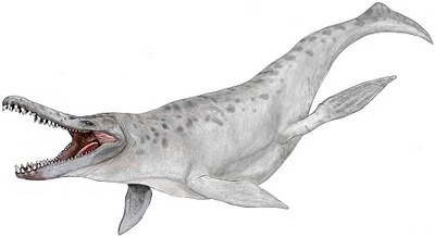 Kronosaurus | Wiki Prehistorica | Fandom