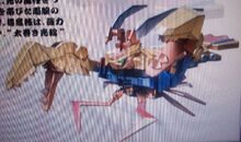 Ebi Origami | Super Sentai Wiki | Fandom