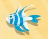 Cardinal Fish | Wiki The Fishercat Wiki | Fandom