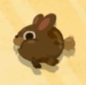 Bunnyfish | Wiki The Fishercat Wiki | Fandom