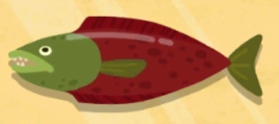 Salmon | Wiki The Fishercat Wiki | Fandom