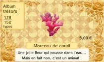 Morceau de corail | Wiki Tomodachi life ! | Fandom