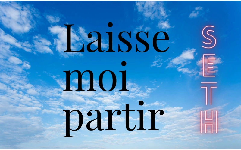 Laisse moi partir | Wiki Vos Chansons | Fandom