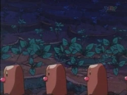 IL031: Dig Those Diglett! - Azurilland Wiki