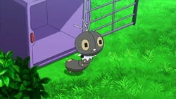 XY012: To Catch a Pokémon Smuggler! - Azurilland Wiki