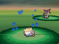 Splash - Azurilland Wiki