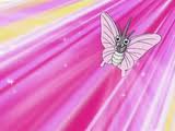 Venomoth - Azurilland Wiki