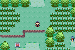 Hoenn Route 101 - Azurilland Wiki