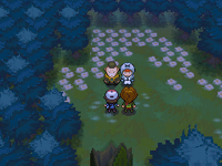 Pinwheel Forest - Azurilland Wiki