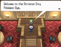 Striaton City Gym - Azurilland Wiki