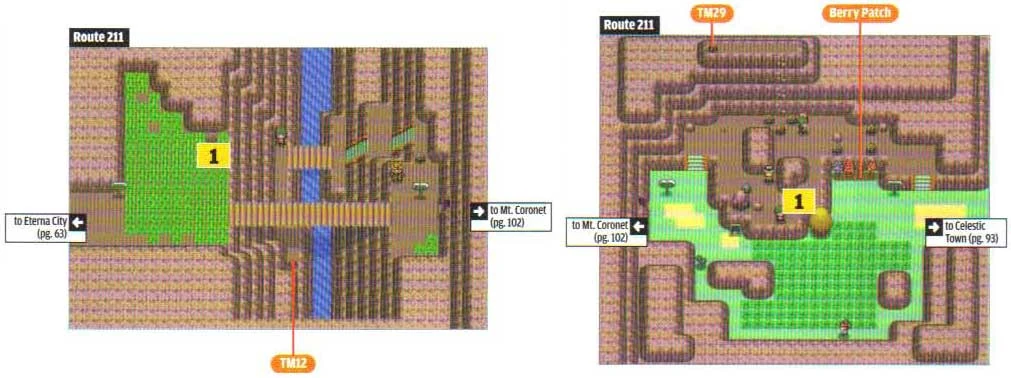 Sinnoh Route 211 - Azurilland Wiki