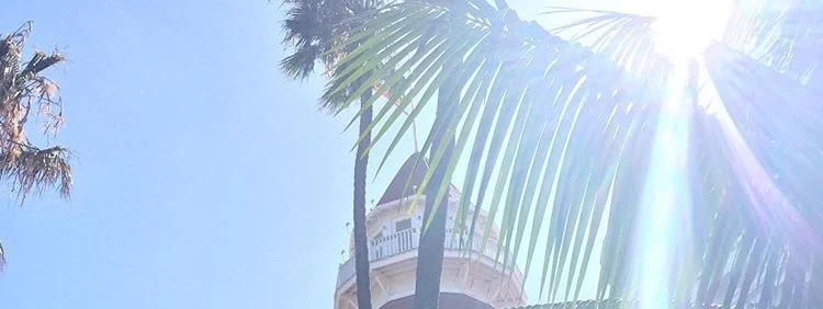 Chatter/TJ Martin | The Wiki Channel Wiki | Fandom