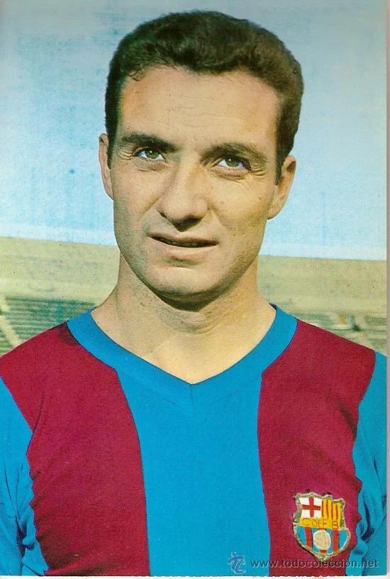 Fusté | Wikicule Wiki | Fandom