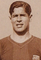 Arocha | Wikicule Wiki | Fandom