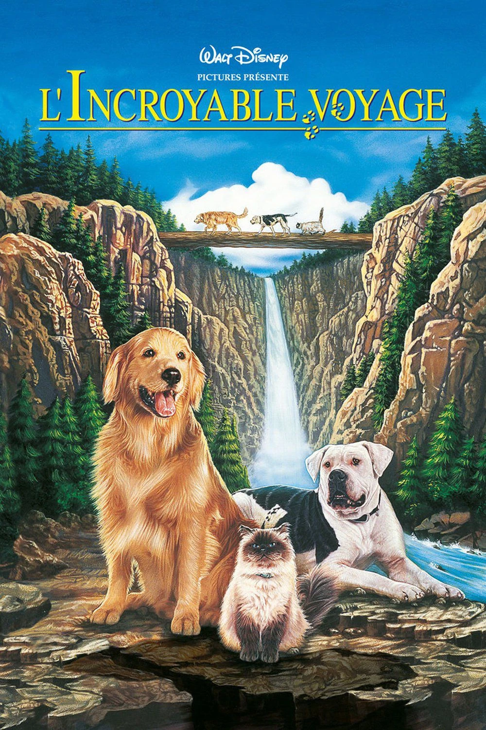 L'Incroyable Voyage (film) | Wiki Doublage francophone | Fandom