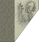 Demon Wall (Final Fantasy IV) | Emo The Emolga Wiki | Fandom