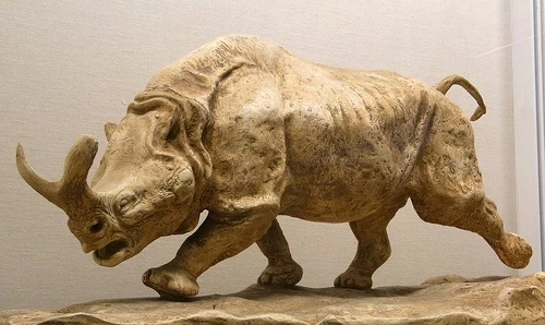 Brontotherium | Wiki Wikiespecies 2 | Fandom