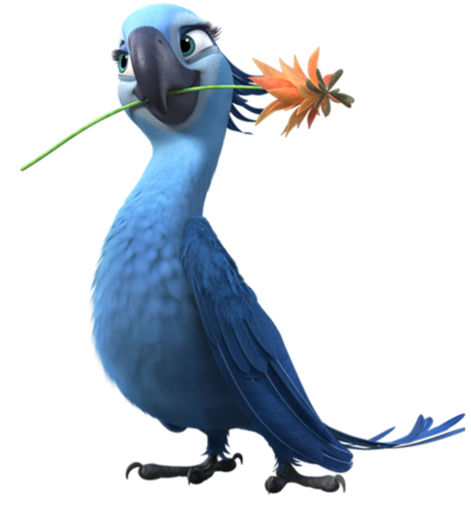 Jewel (Rio) | Wikifanon Wiki | Fandom