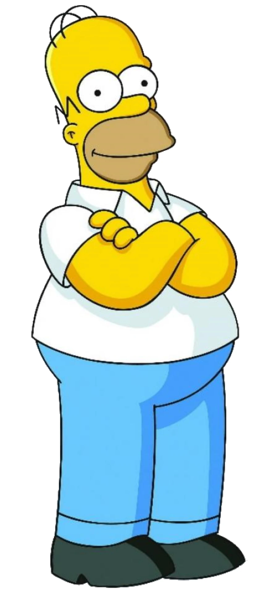Homer Simpson | Wikifanon Wiki | Fandom