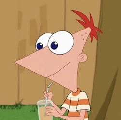 Phineas Flynn | Wikifanon Wiki | Fandom