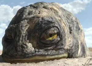 Rock-Eye | WikiFinister Wiki | Fandom