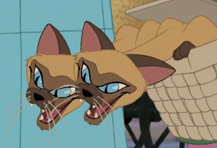 Kim the Cat | WikiFinister Wiki | Fandom