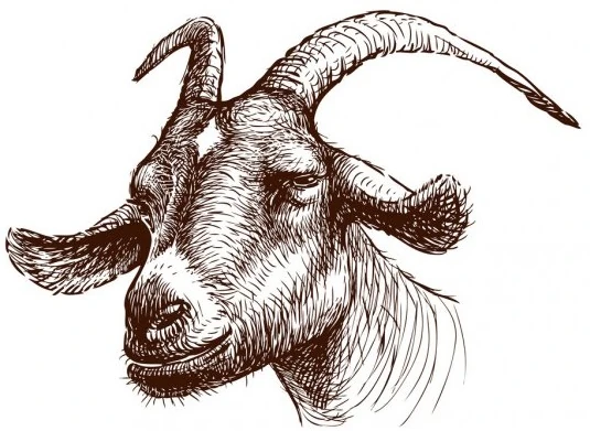 Muriel the Goat | WikiFinister Wiki | Fandom