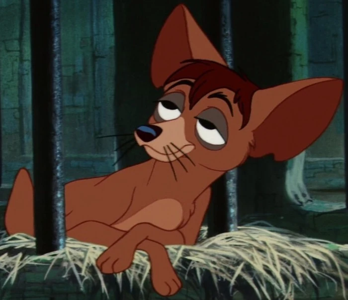 Chance the Dog | WikiFinister Wiki | Fandom