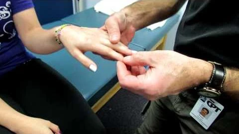 Signe de hoffman | Wikige Wiki | Fandom