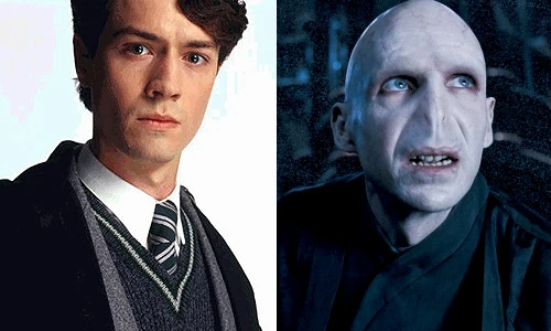 Lord Voldemort | Harry Potter Wiki | Fandom