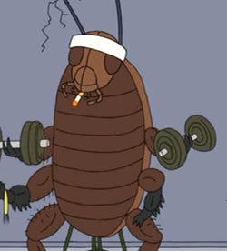 Strongest Cockroach | Superjail! Wiki | Fandom