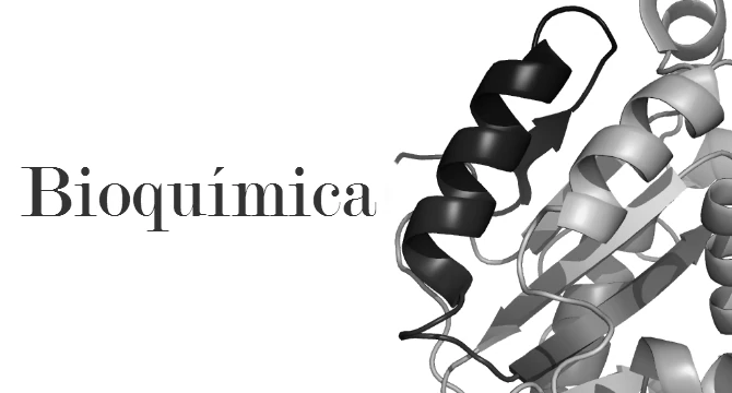 Bioquímica | WikiMed Wiki | Fandom