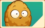 Wall-nut | Wikipeadia Wiki | Fandom