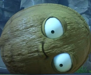 Wall-nut | Wikipeadia Wiki | Fandom