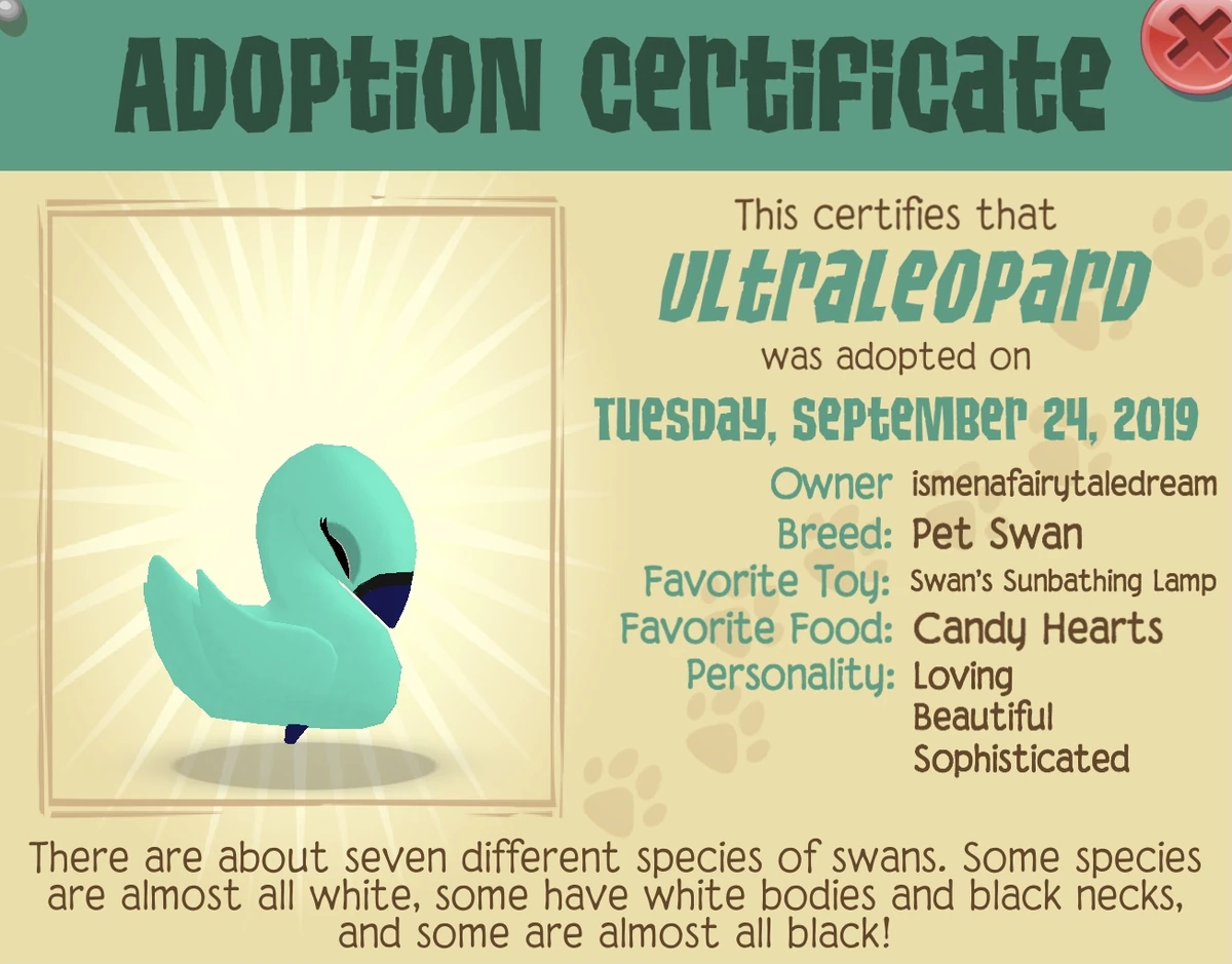 Plumas | Wikipets Wiki | Fandom