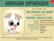 Gingex | Wikipets | Fandom