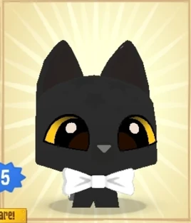 Shady | Wikipets | Fandom