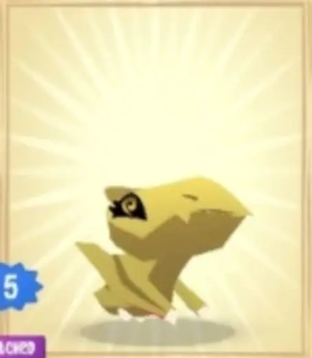 Amber | Wikipets | Fandom